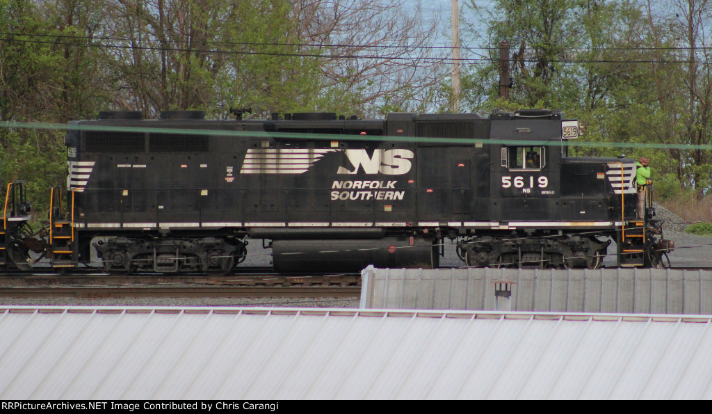 NS 5619